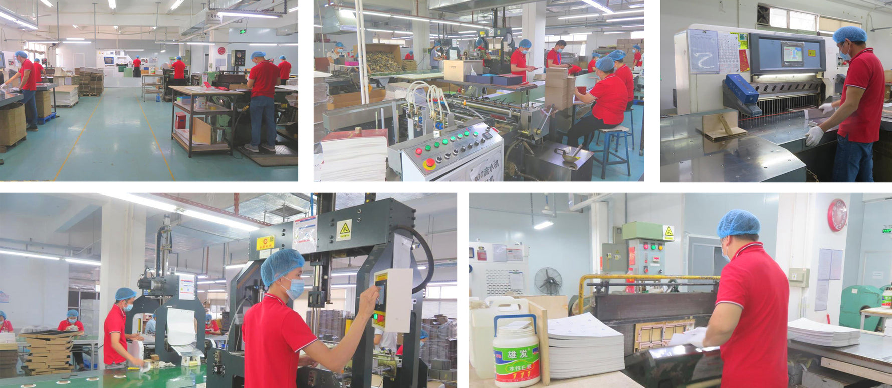 Eco Packaging Factory| Packaging Solutions |Paper Box | Paper Bag – ECO ...
